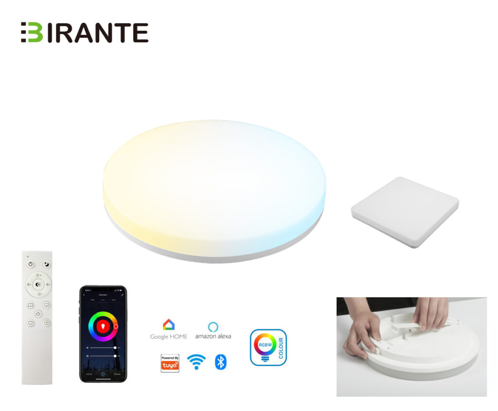 Smart Tuya Ceiling light - WELCOME TO BIRAT